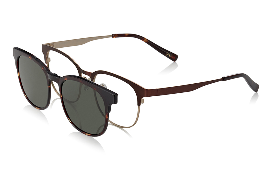 SNP1014N-2S C2| OWNDAYS 眼鏡・太陽眼鏡 - 線上購物專區